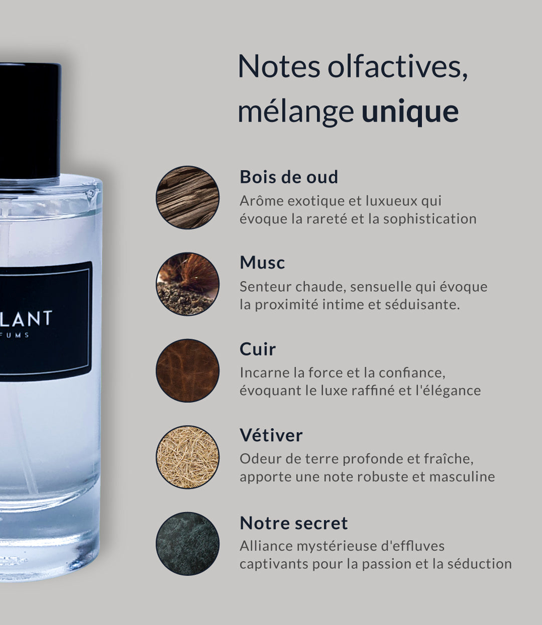 Vaillant Parfums™ - Parfum Désir pour hommes – Vaillant Parfums FR